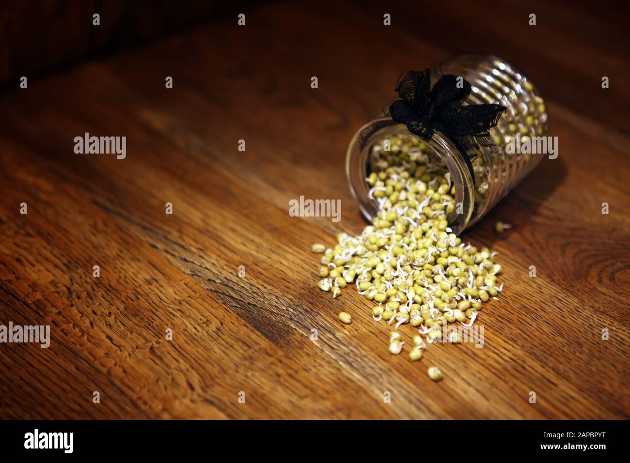 Seedlings for food. Sprouted seeds of broccoli, sunflower, watercress ...