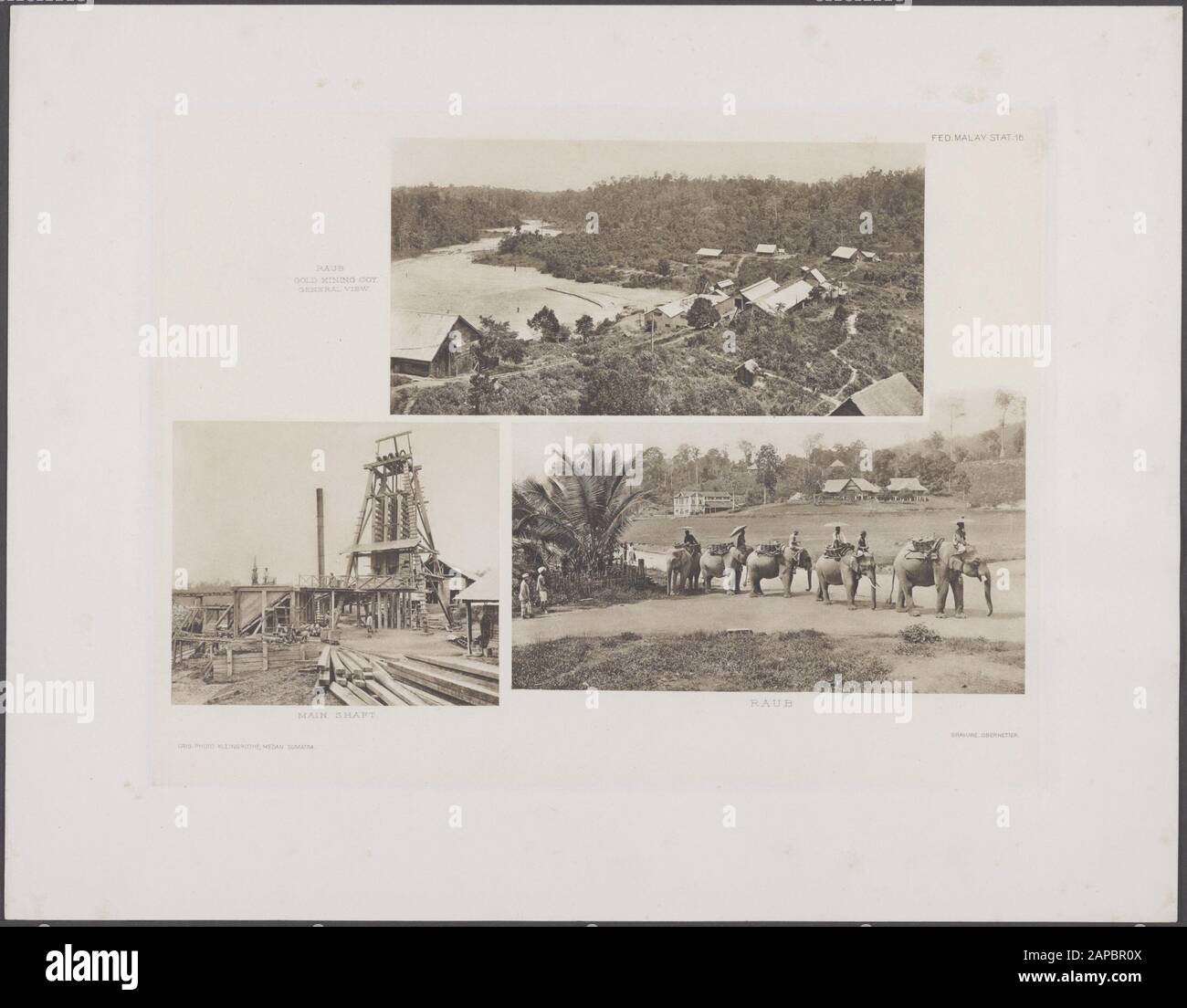 Photo album Deli Maatschappij: Deli Maatschappij. East Coast of Sumatra ...