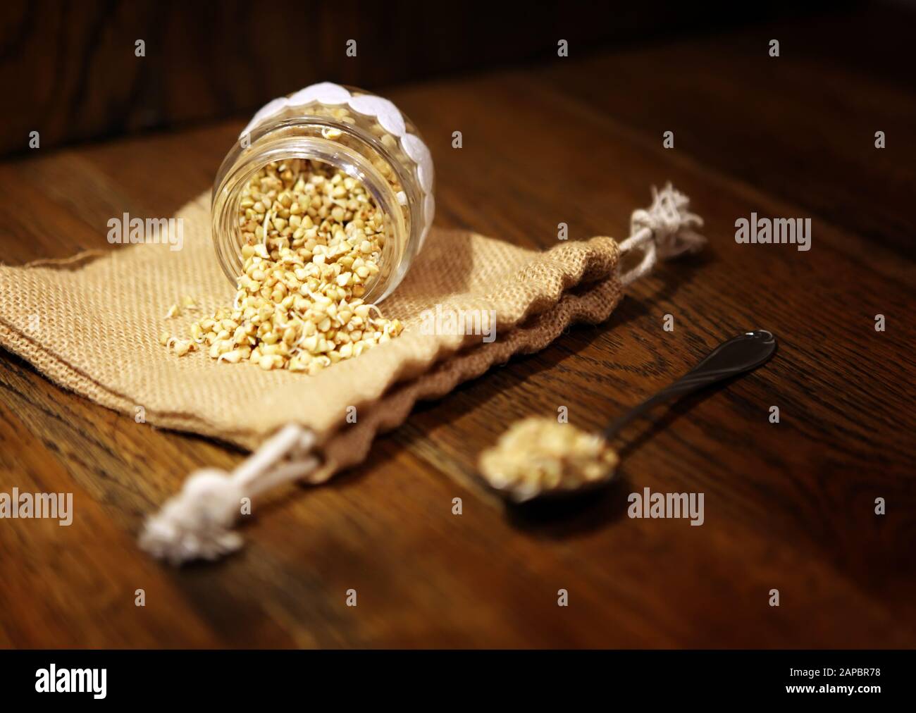 Seedlings for food. Sprouted seeds of broccoli, sunflower, watercress ...