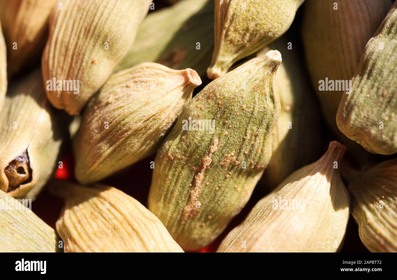Macro close up of isolated pile with processed green cardamom pods ...