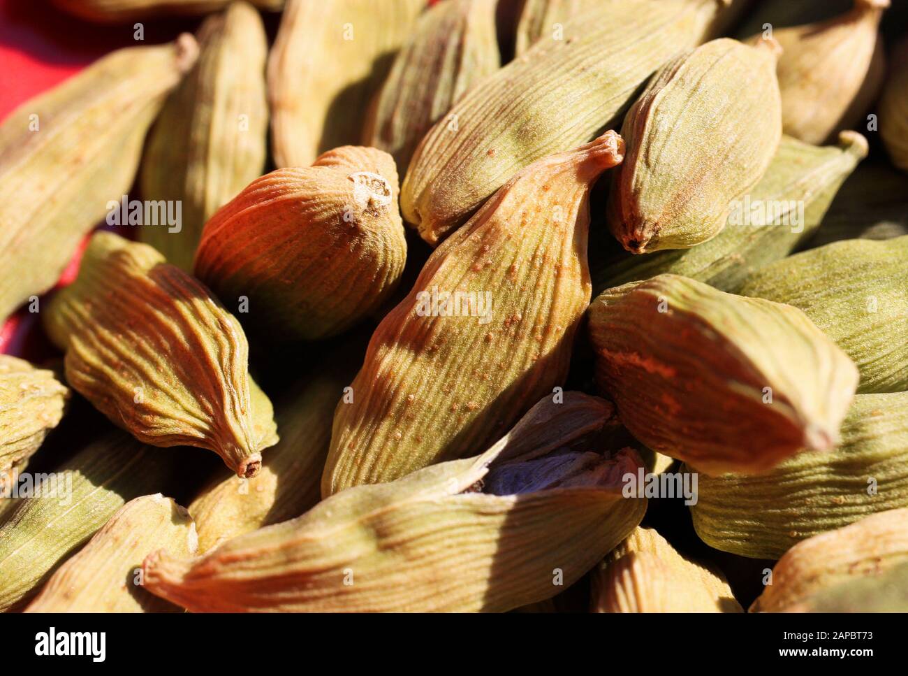 Macro close up of isolated pile with processed green cardamom pods ...