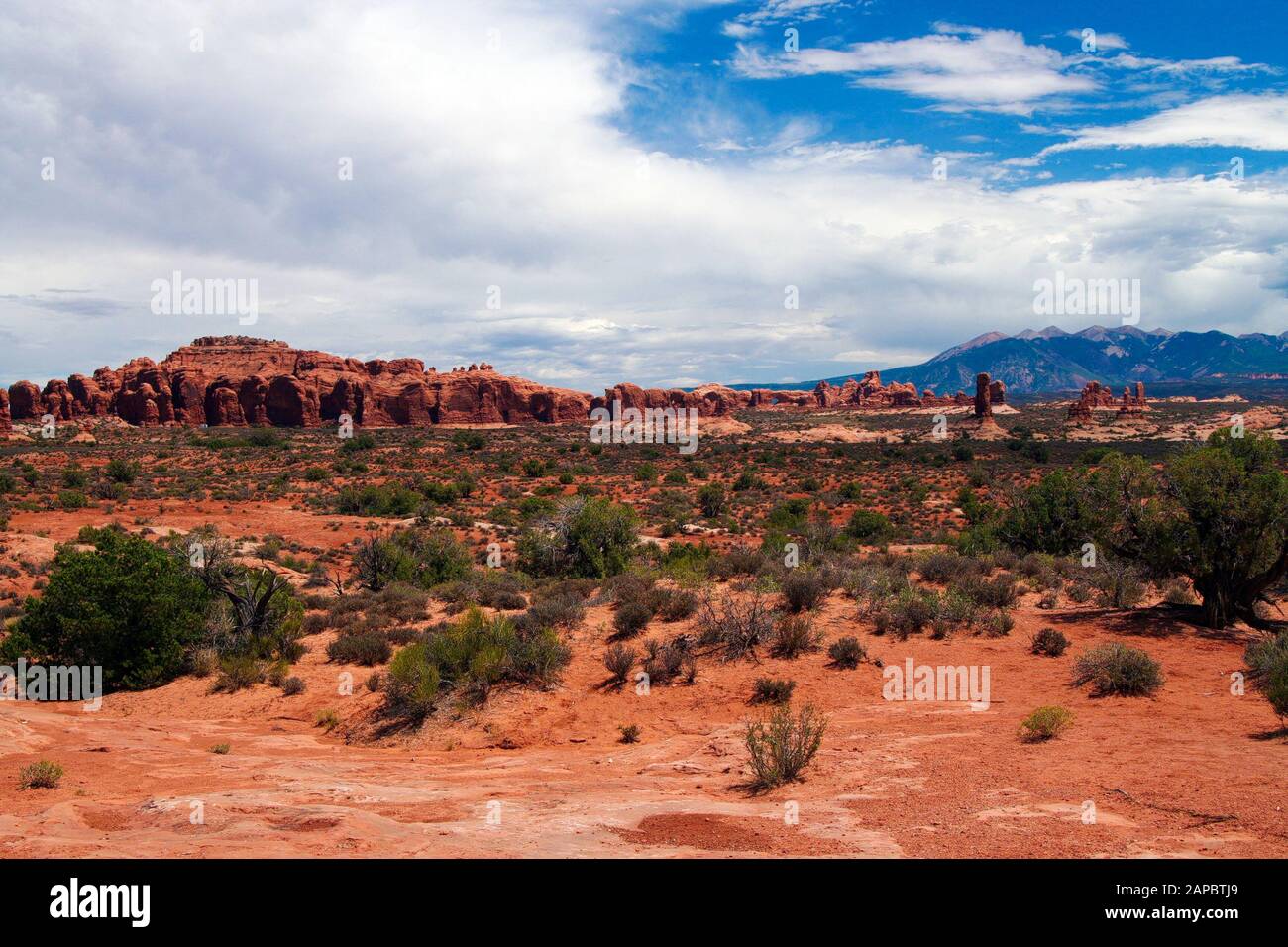 View over endless red sand plain with green plants in dry environment ...