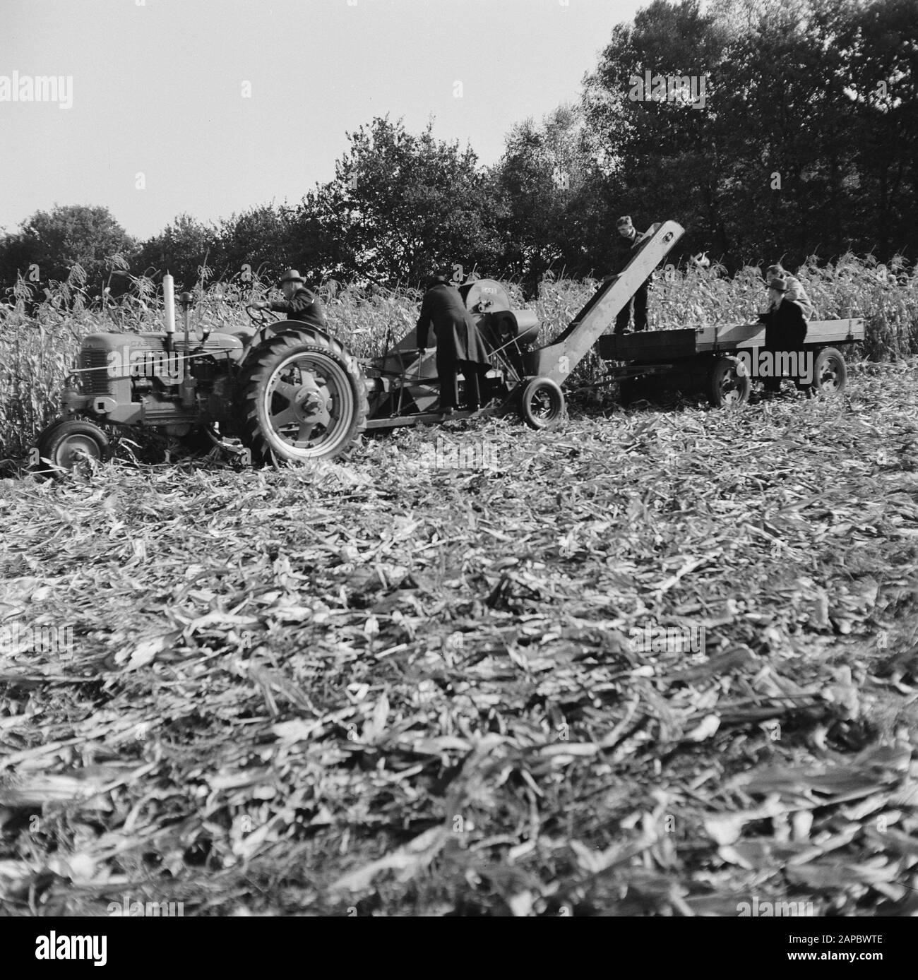 Maize picking Black and White Stock Photos & Images - Alamy