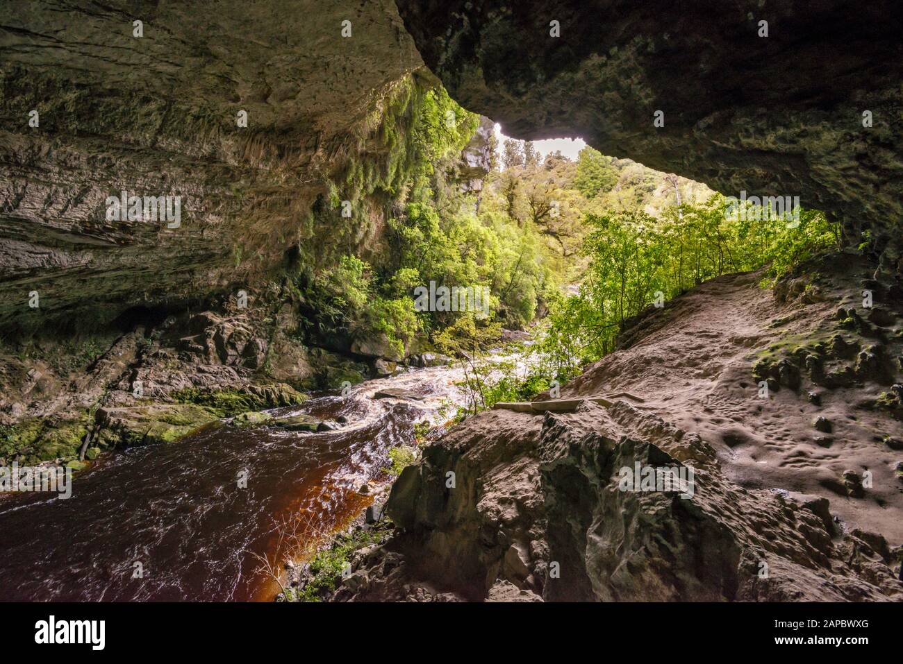 Oparara Arch, with Oparara River below, Kahurangi National Park, West ...