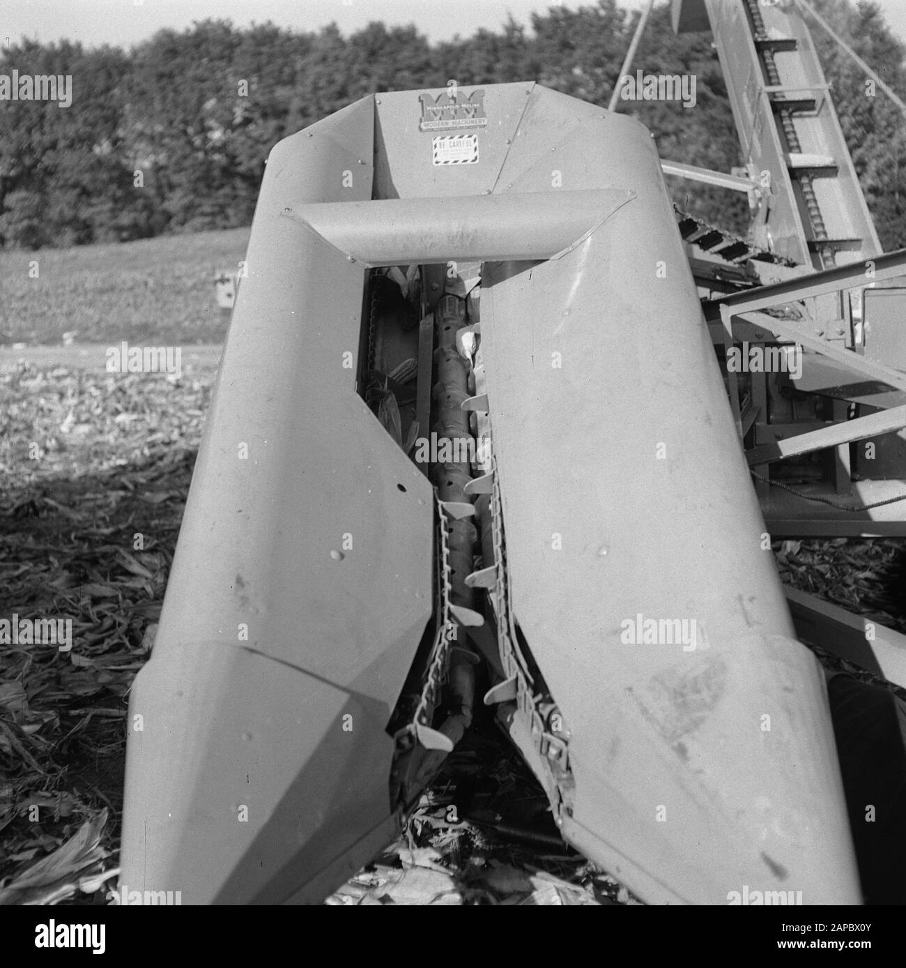 Maize picking Black and White Stock Photos & Images - Alamy
