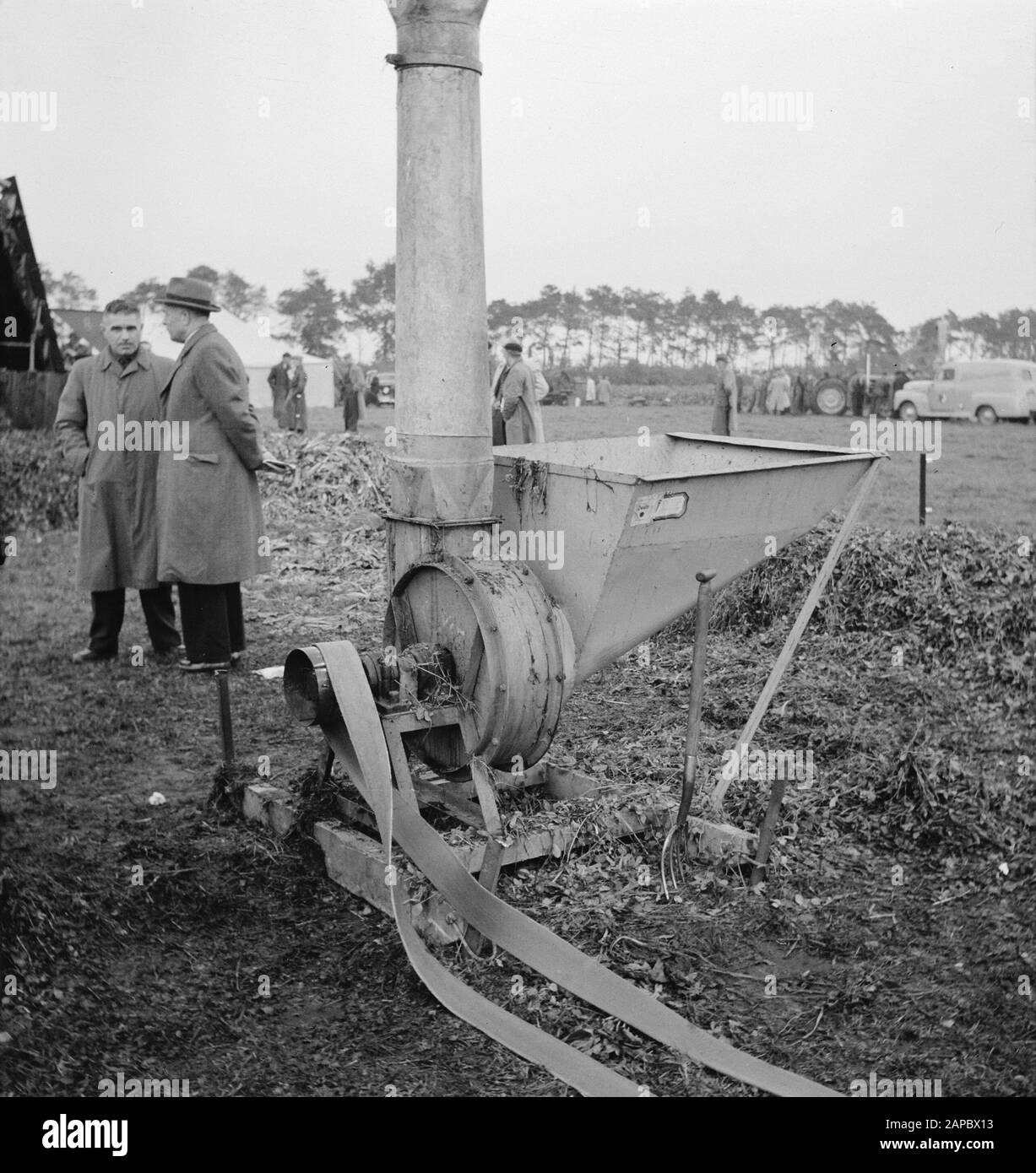 6x6 Rasta chopping fan, which is very dangerous due to constant ...