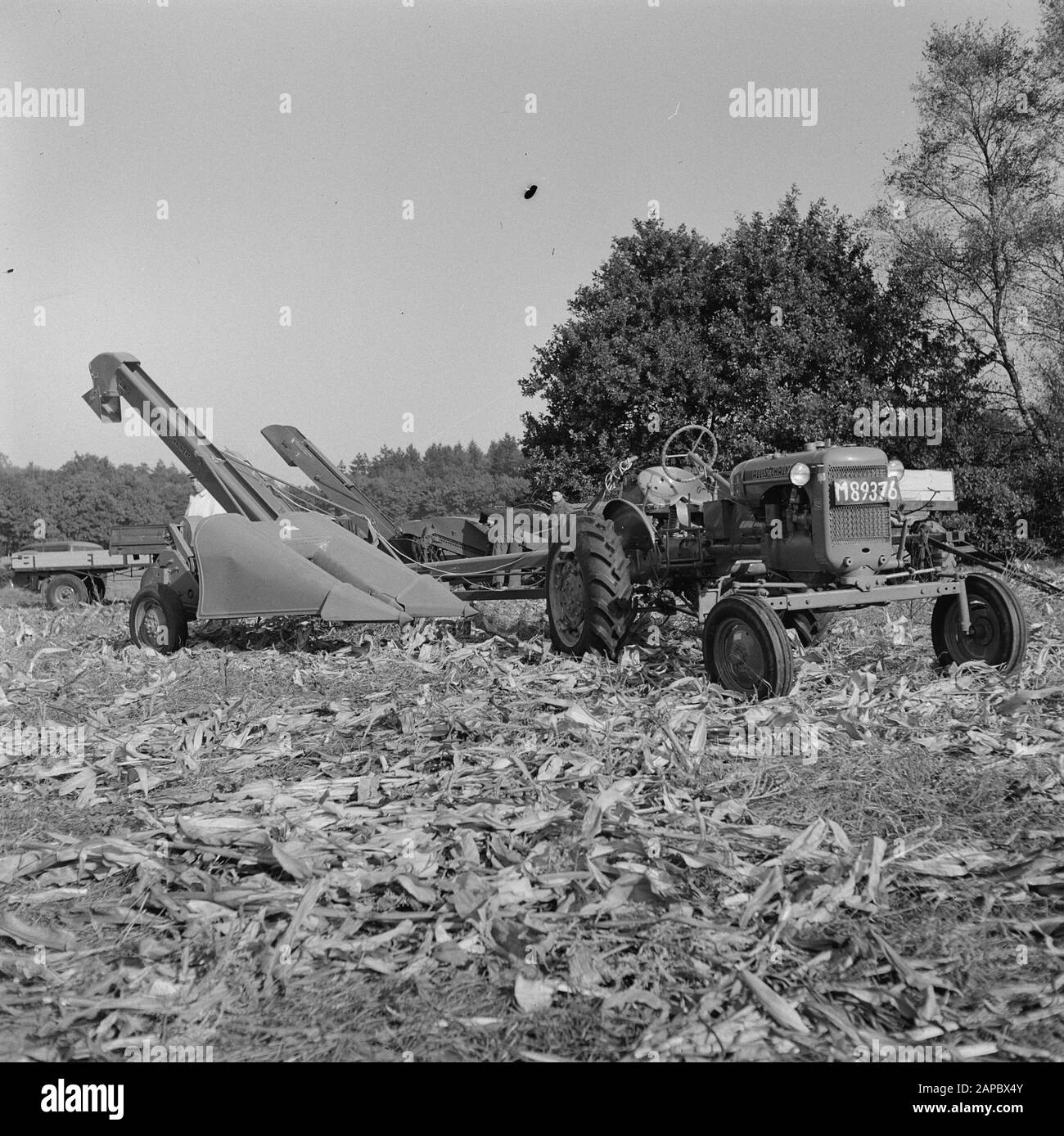 Maize picking Black and White Stock Photos & Images - Alamy