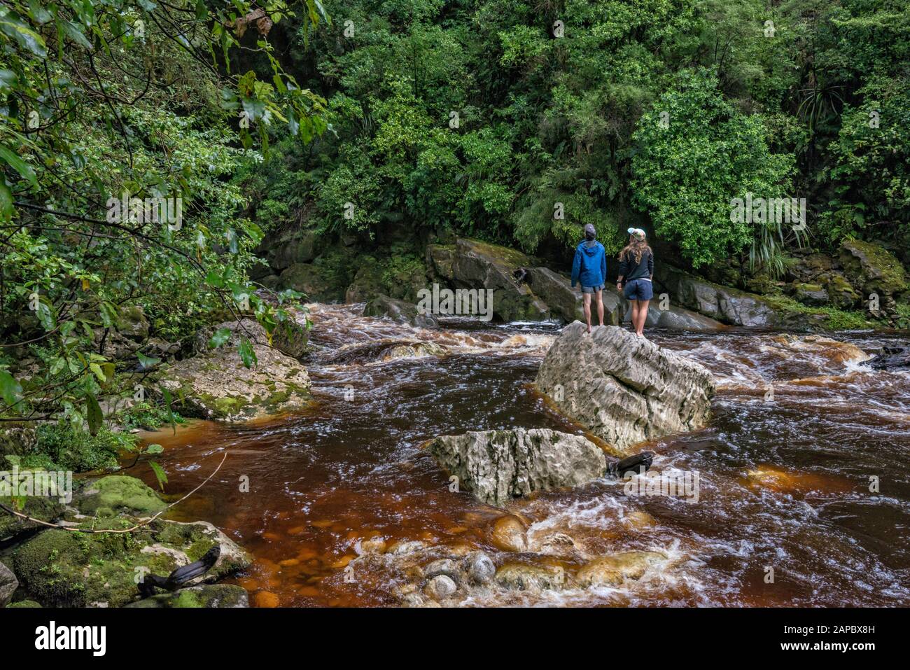 Hikers looking at Oparara Arch, on boulder at Oparara River, rain ...