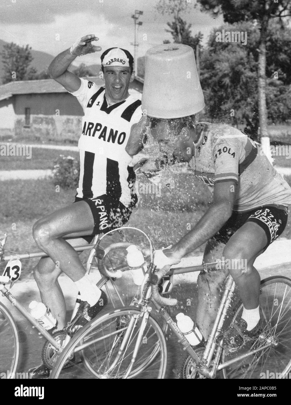 Water horse head Black and White Stock Photos & Images - Alamy