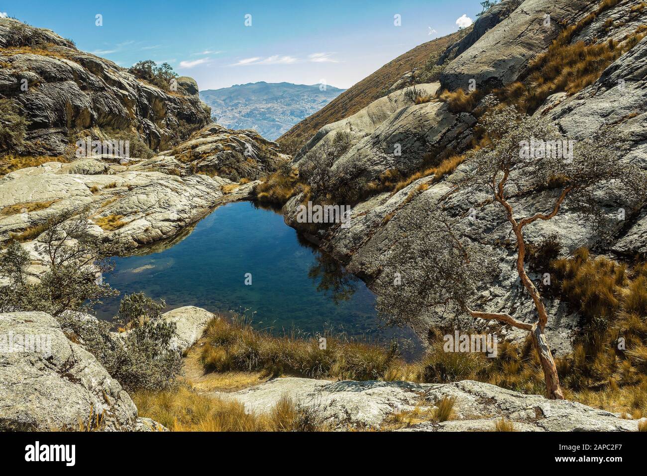 Tree, rock and grass with a portion of water Stock Photo - Alamy