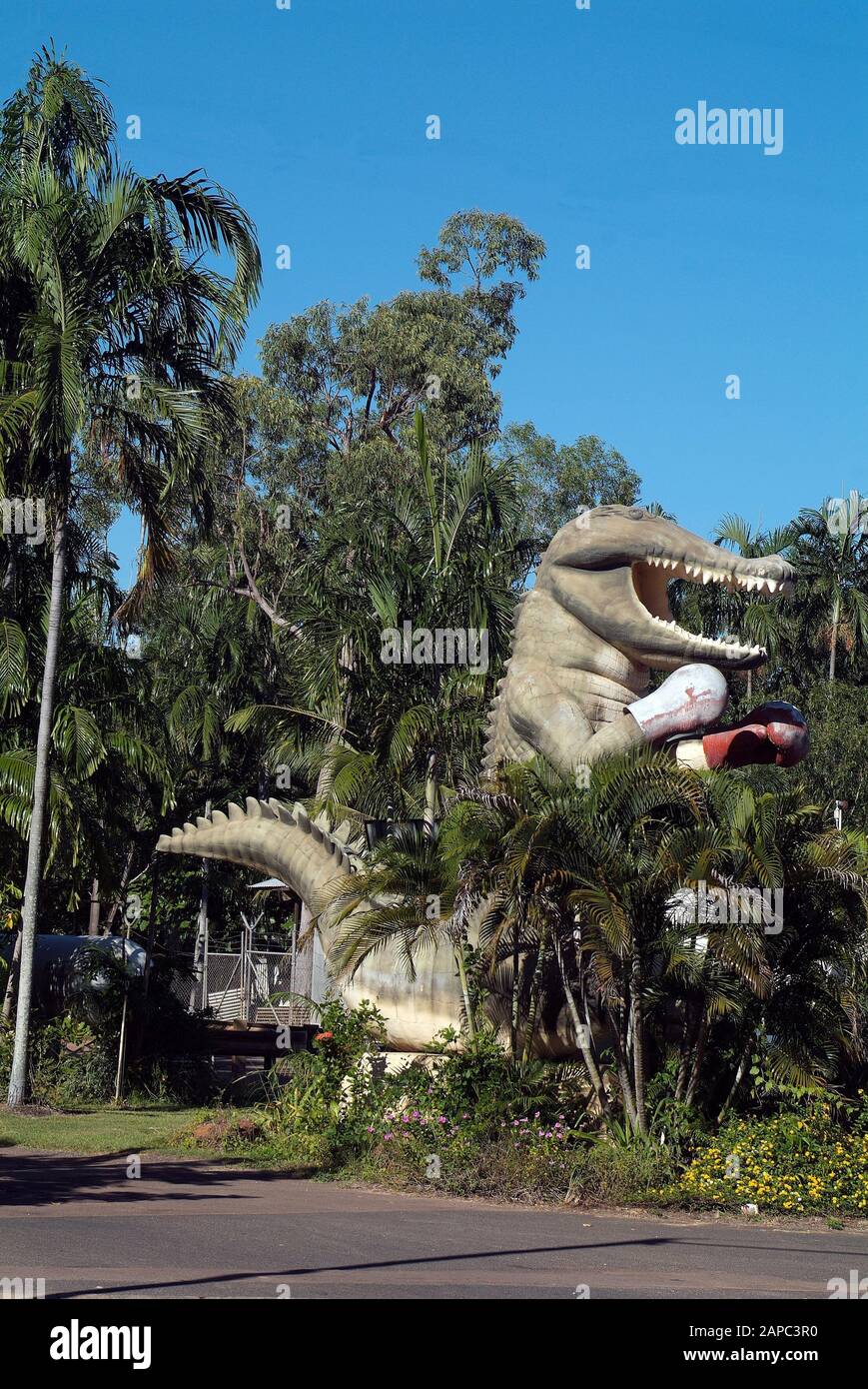 Humpty doo boxing crocodile hi-res stock photography and images - Alamy