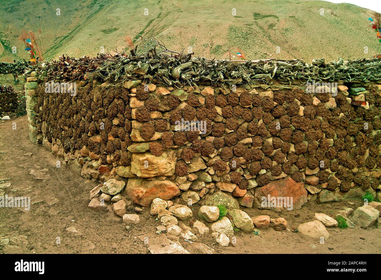 Yak dung hi-res stock photography and images - Alamy