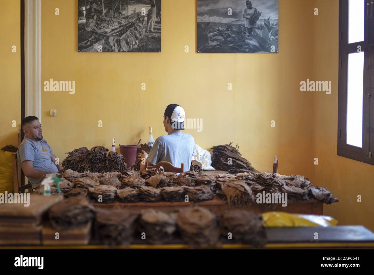 American tobacco warehouse hi-res stock photography and images - Alamy