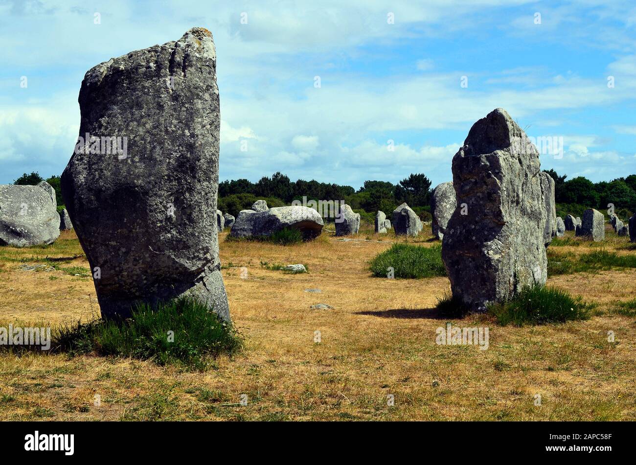 France, megalith stones in Carnac, a UNESCO World heritage site in ...