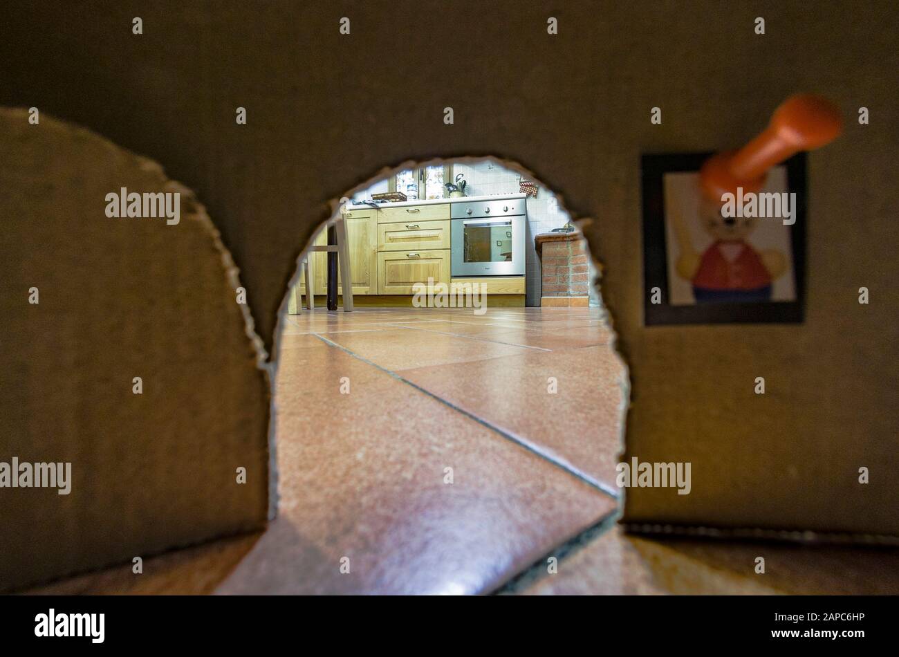 Inside the hole mouse at home Stock Photo - Alamy