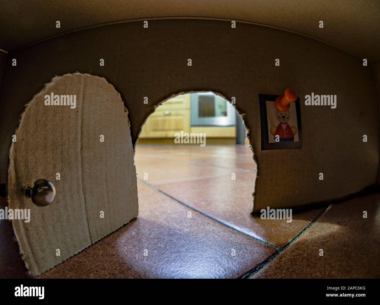 Inside the hole mouse at home Stock Photo - Alamy