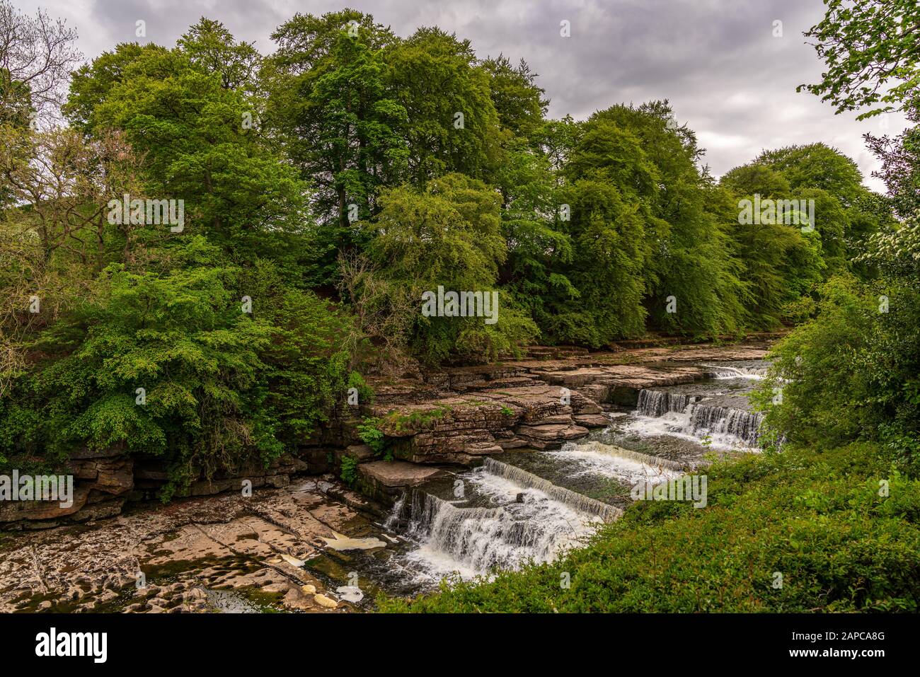 The Lower Falls of the Aysgarth Falls, North Yorkshire, England, UK ...