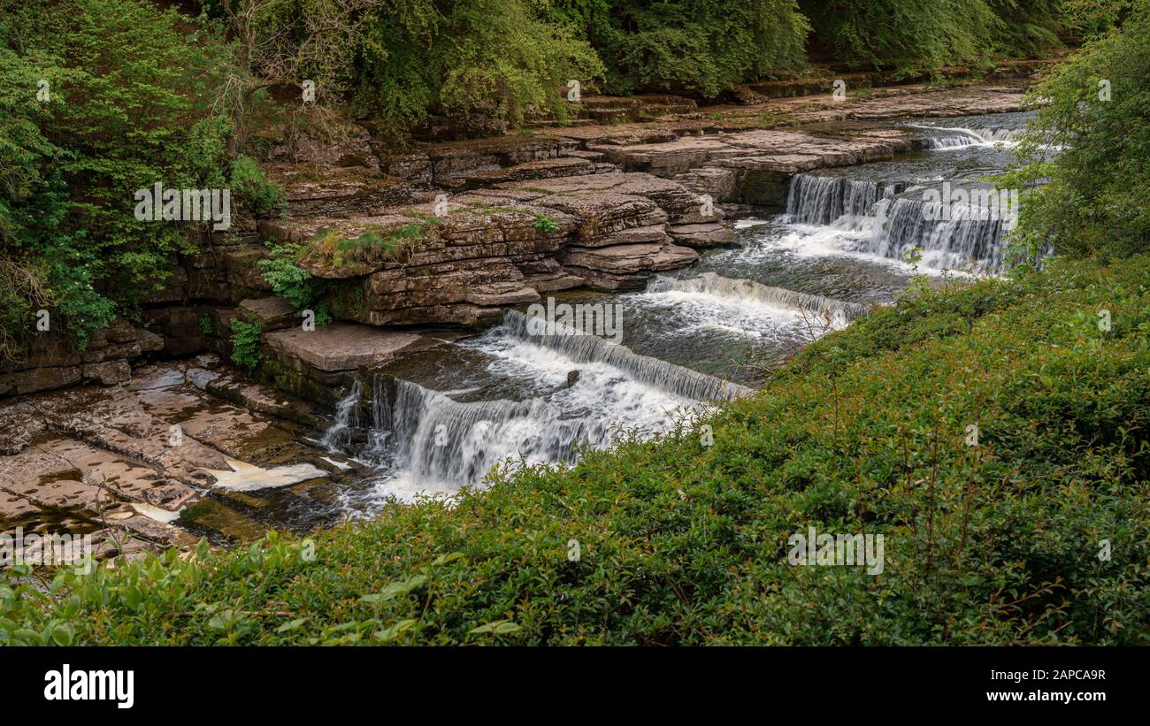 The Lower Falls of the Aysgarth Falls, North Yorkshire, England, UK ...
