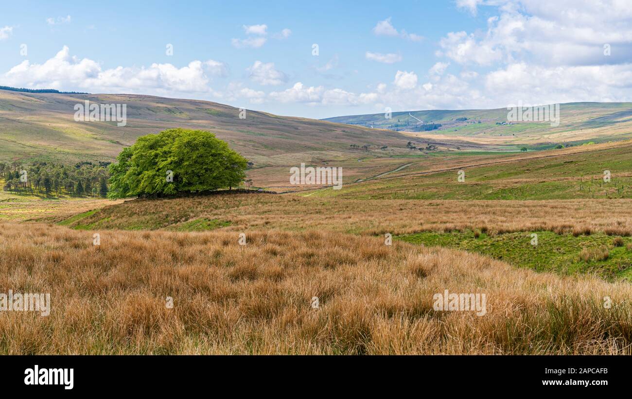 A cloudy day in the Yorkshire Dales near Oughtershaw, North Yorkshire ...