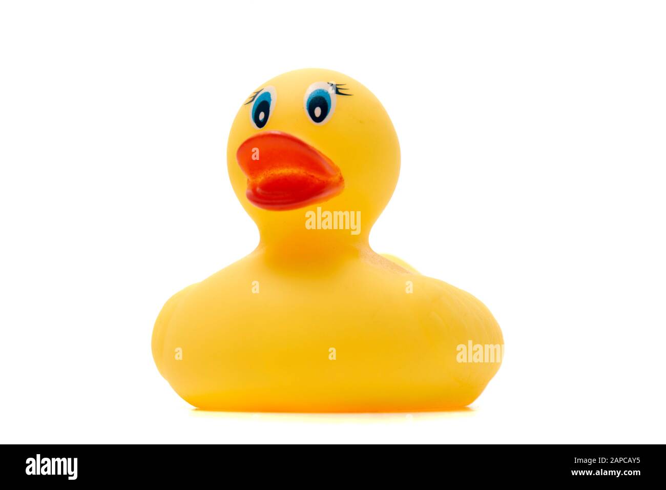 Cute yellow plastic duck isolated on a white background Stock Photo - Alamy