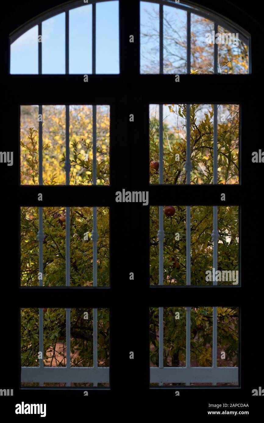 Window closed with metal bars with view to the outside Stock Photo - Alamy