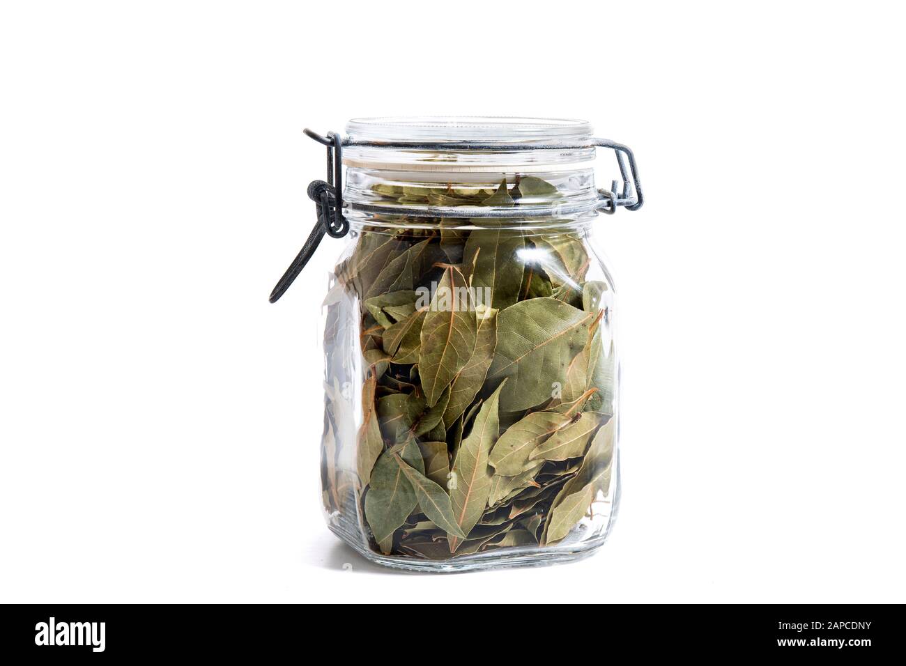Bay leaf plant container hi-res stock photography and images - Alamy