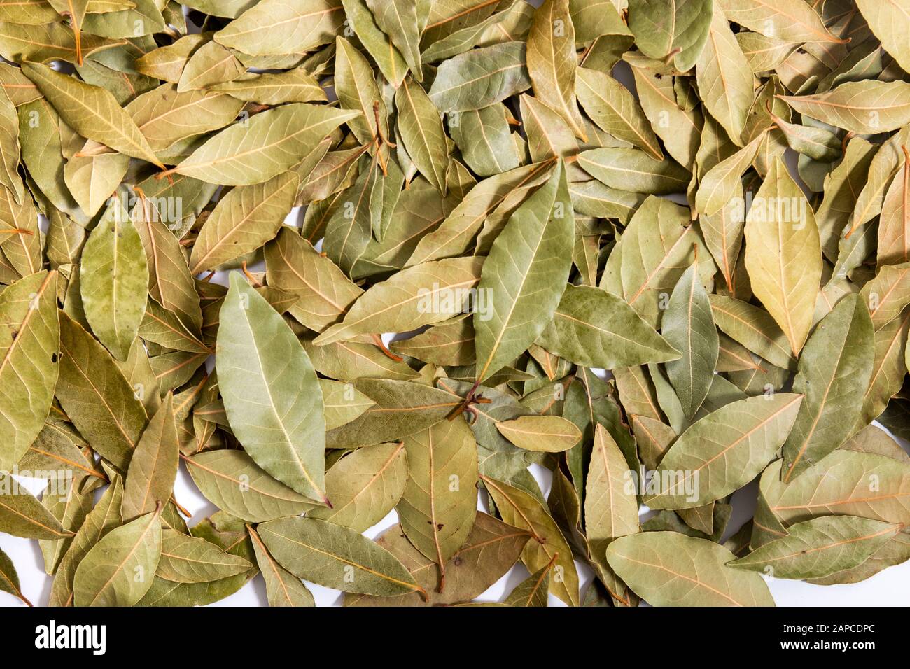 Laurel leafs hi-res stock photography and images - Alamy