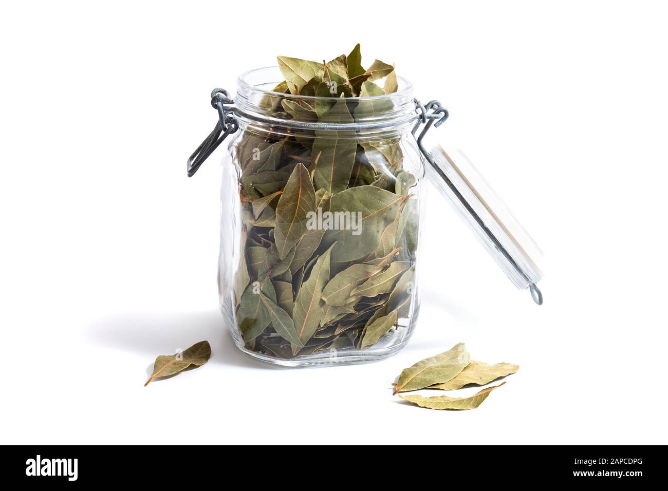 Bay leaf plant container hi-res stock photography and images - Alamy