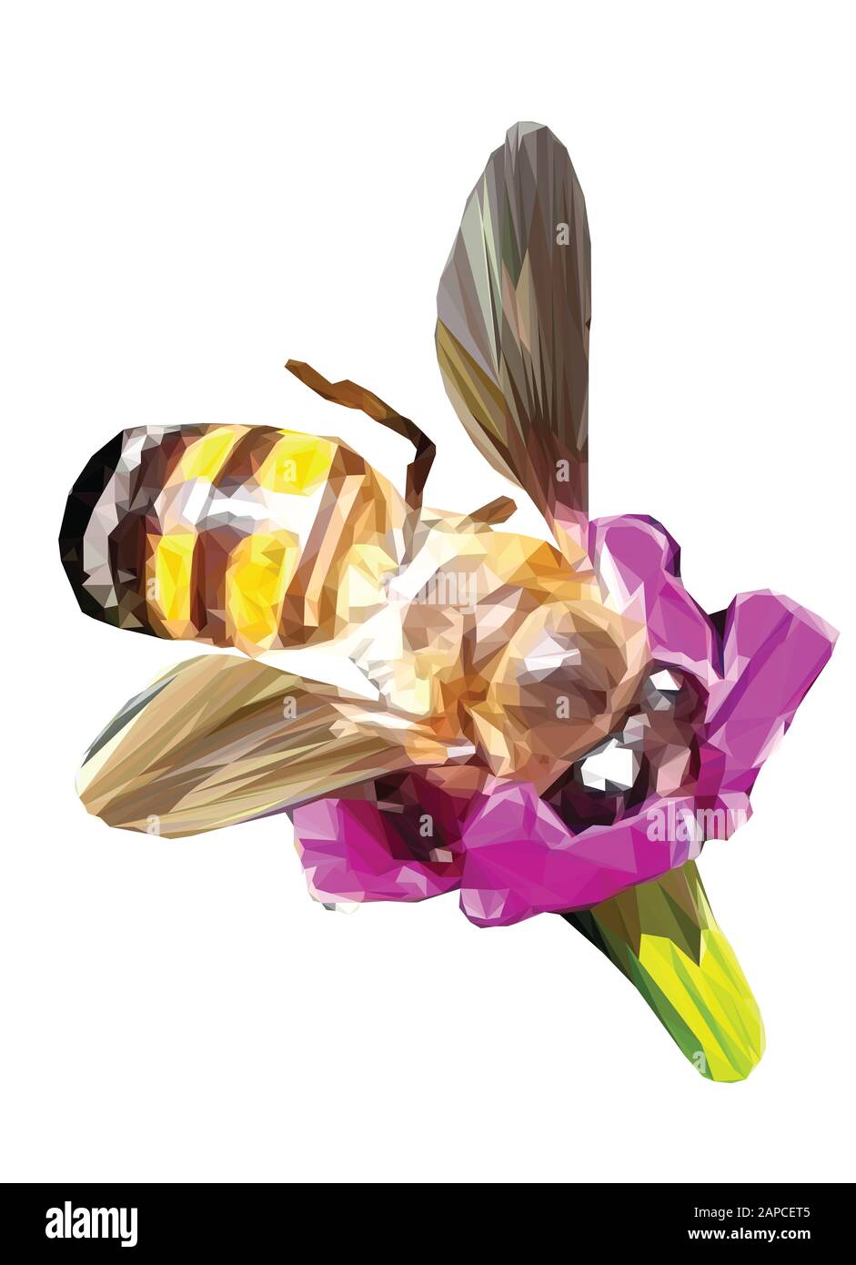 Low poly animals hi-res stock photography and images - Alamy