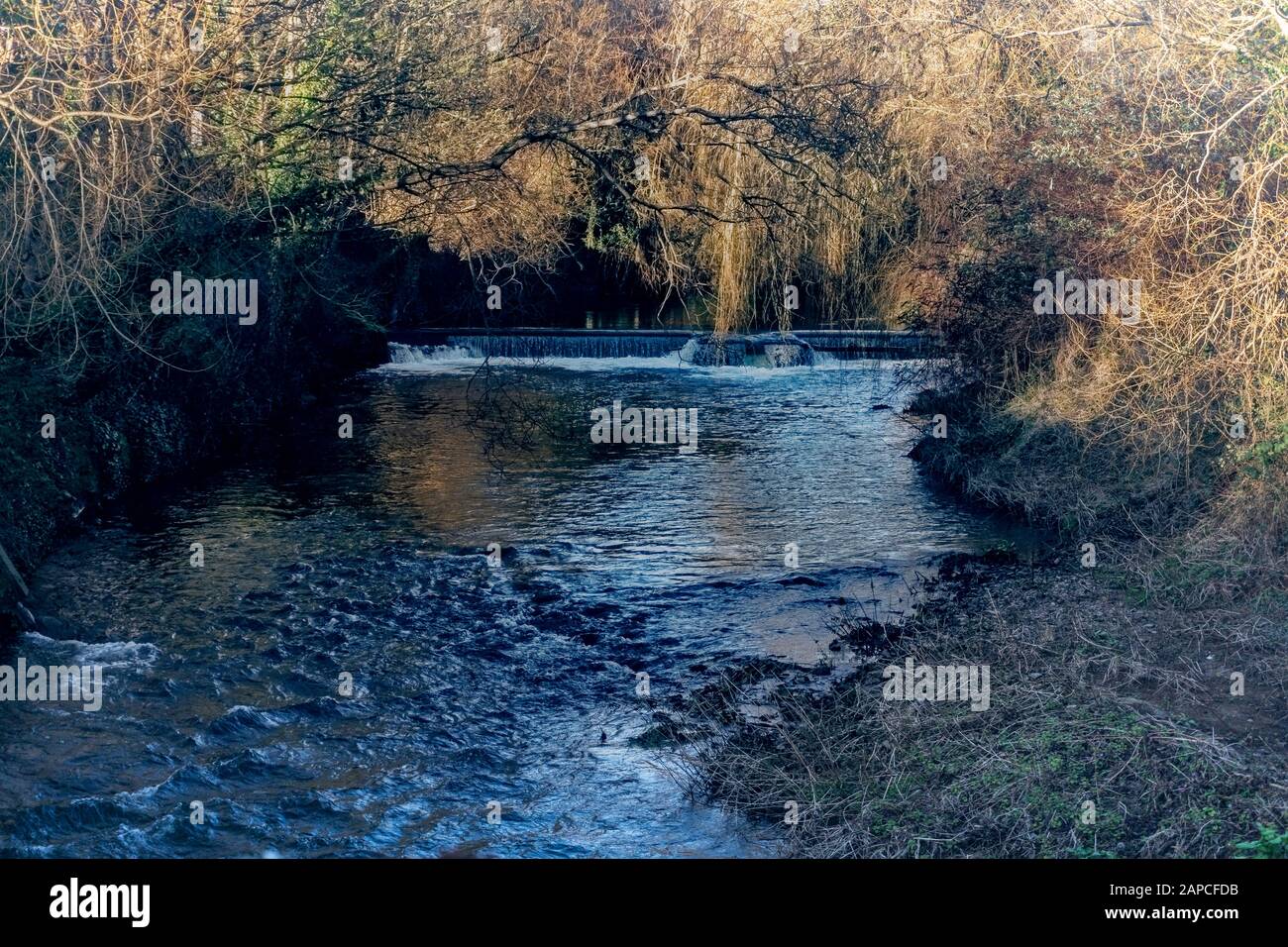 River rye hi-res stock photography and images - Alamy