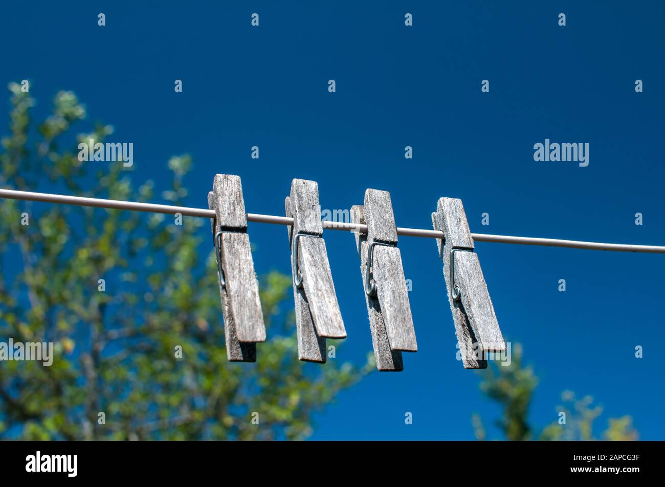Weathered wooden laundry clamps hanging on a string on blue sky ...