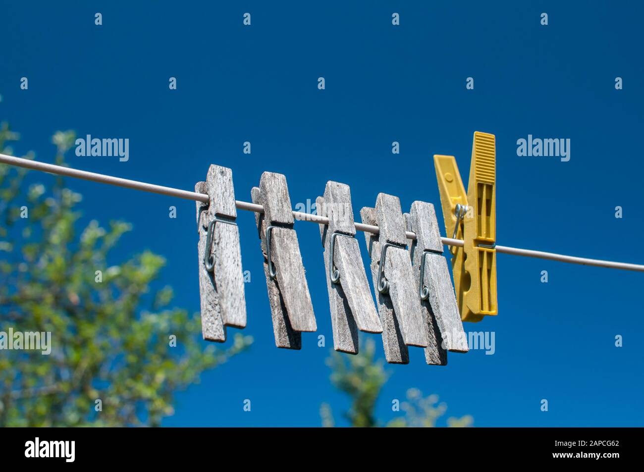 Weathered wooden laundry clamps hanging on a string on blue sky ...