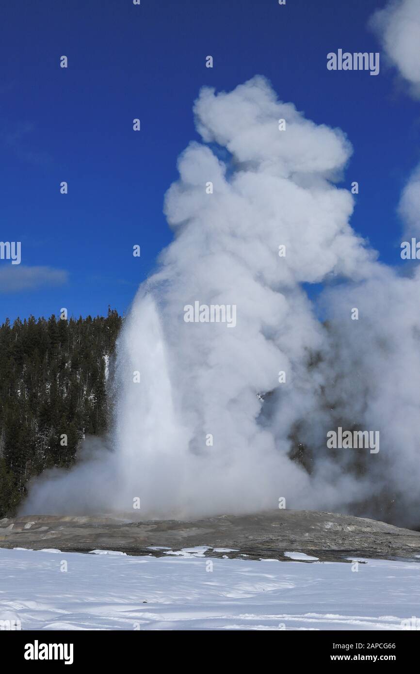 Geyser yellowstone snow hi-res stock photography and images - Alamy