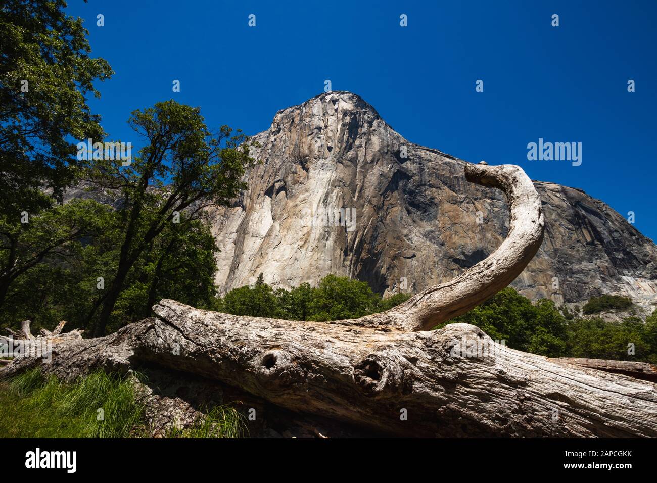 The iconic El Capitan from below during the sunny summer day. Yosemite ...