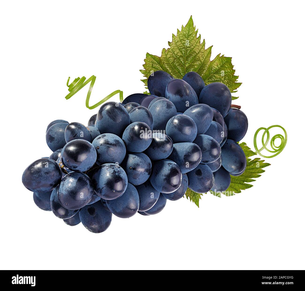 Fresh grapes isolated on white background Stock Photo - Alamy