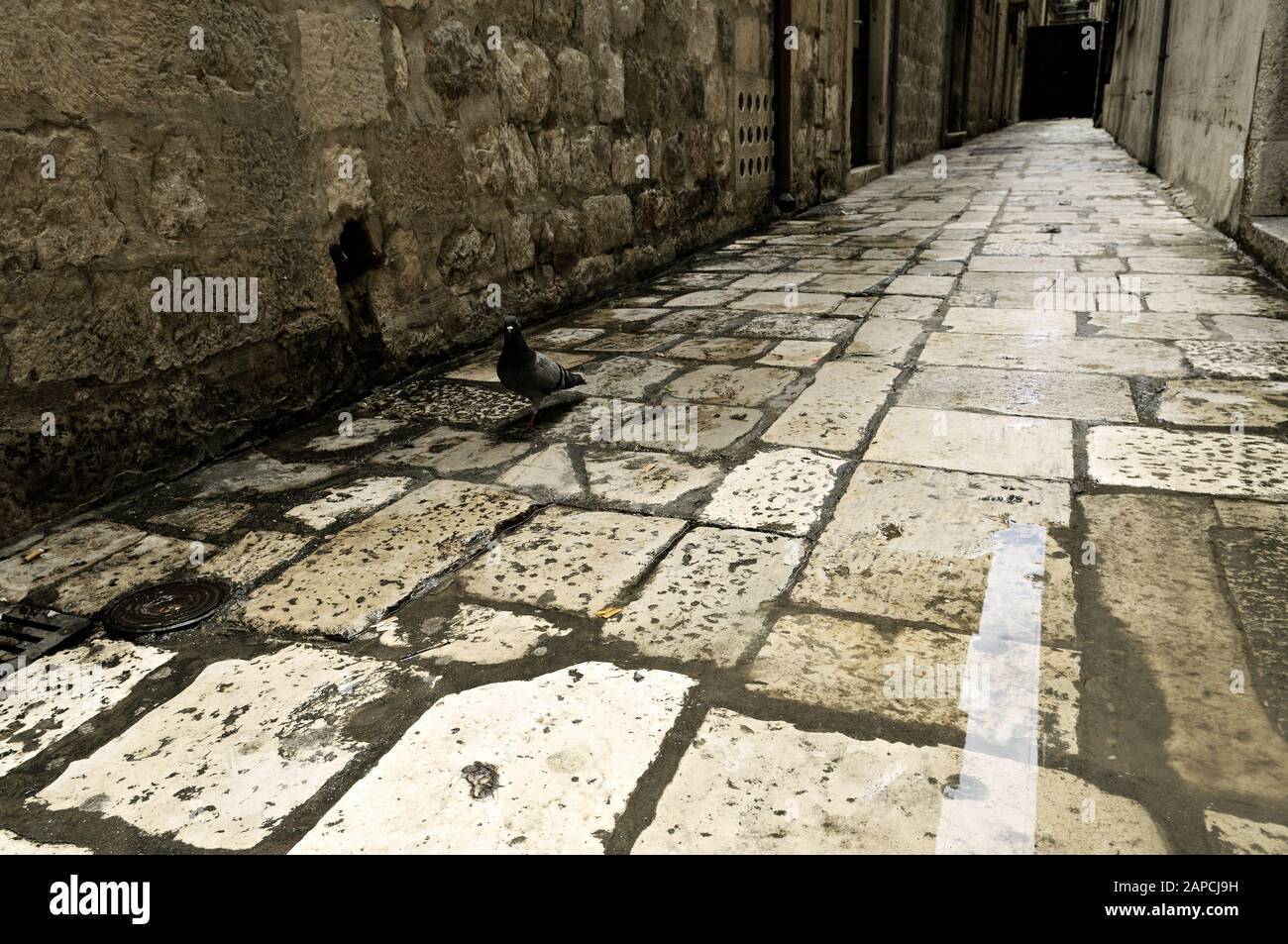 Cobbled alley in Dubrovnik, Croatia Stock Photo - Alamy
