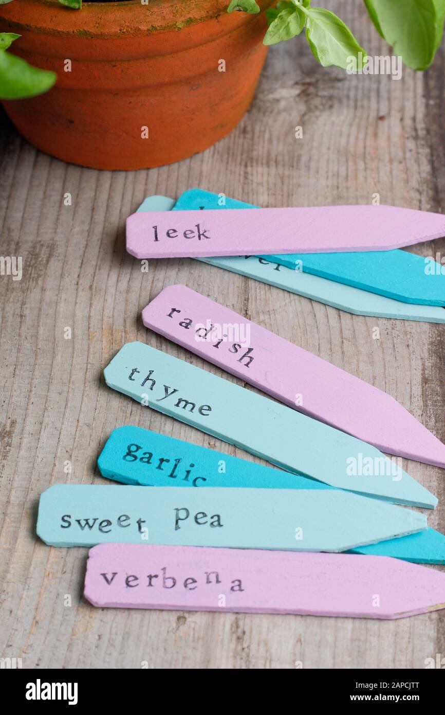 Wooden plant labels recycled using paint and a letter stamper Stock ...