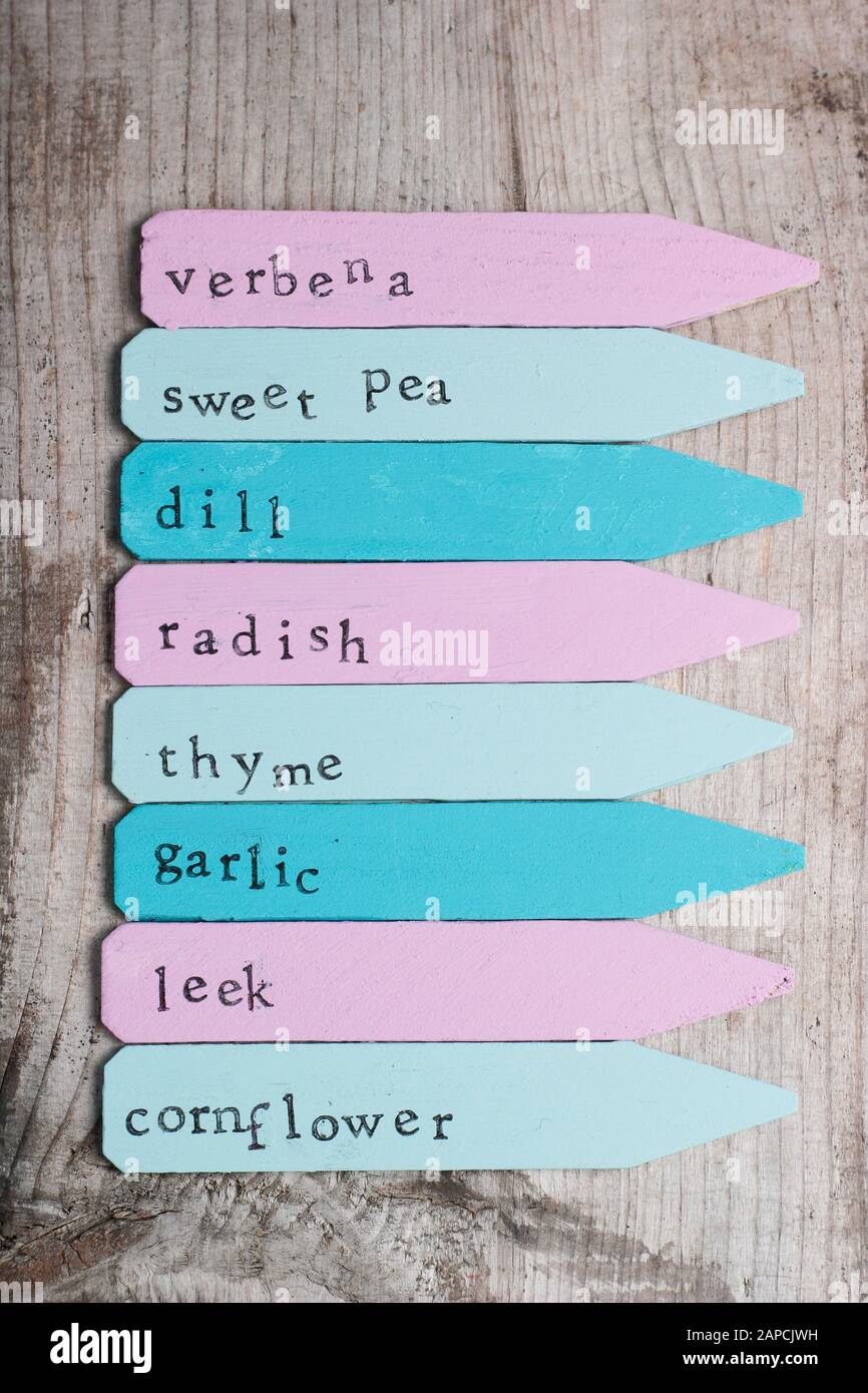Wooden plant labels recycled using paint and a letter stamper Stock ...