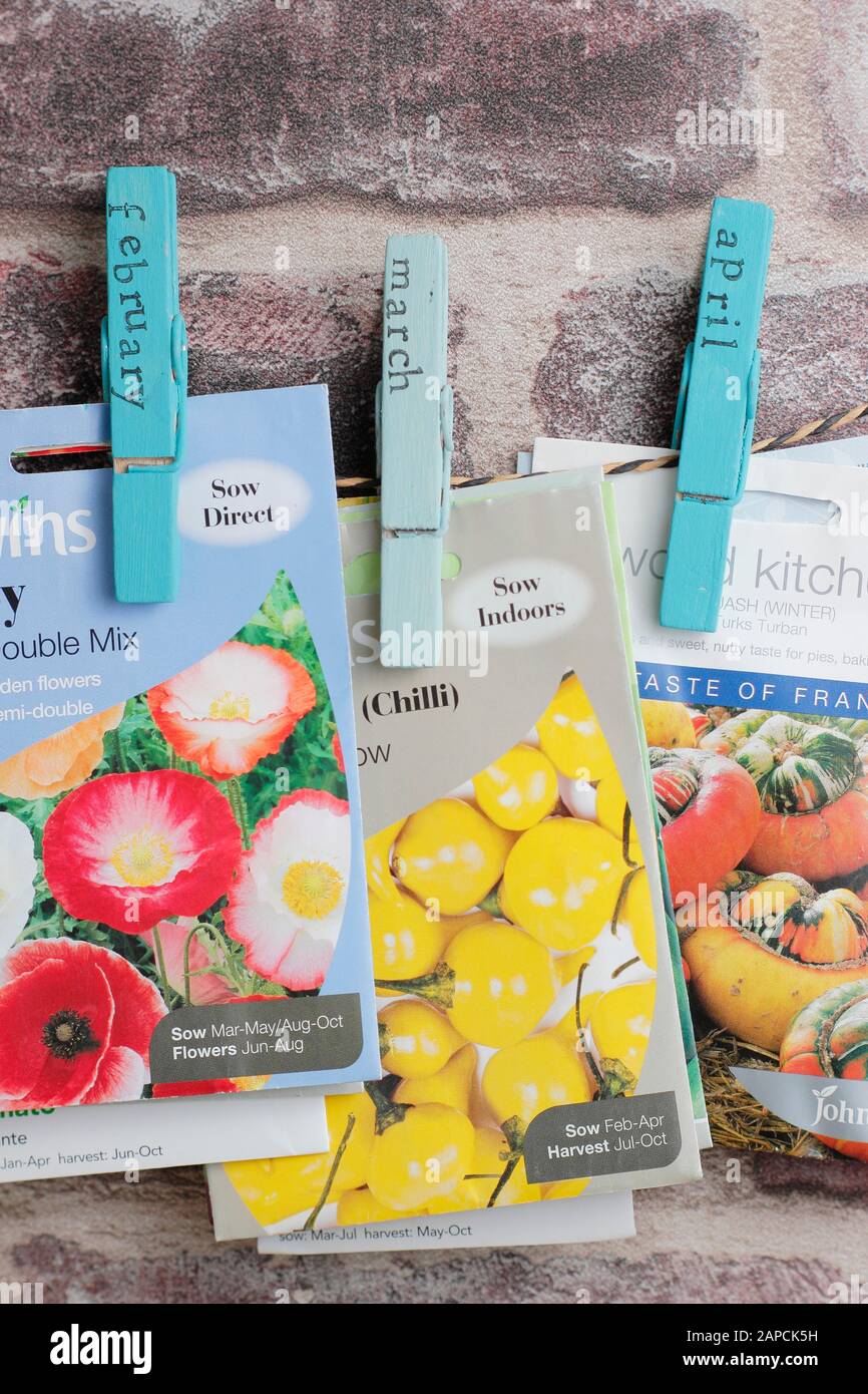 Organising seed packets for sowing using upcycled clothes peg for ...