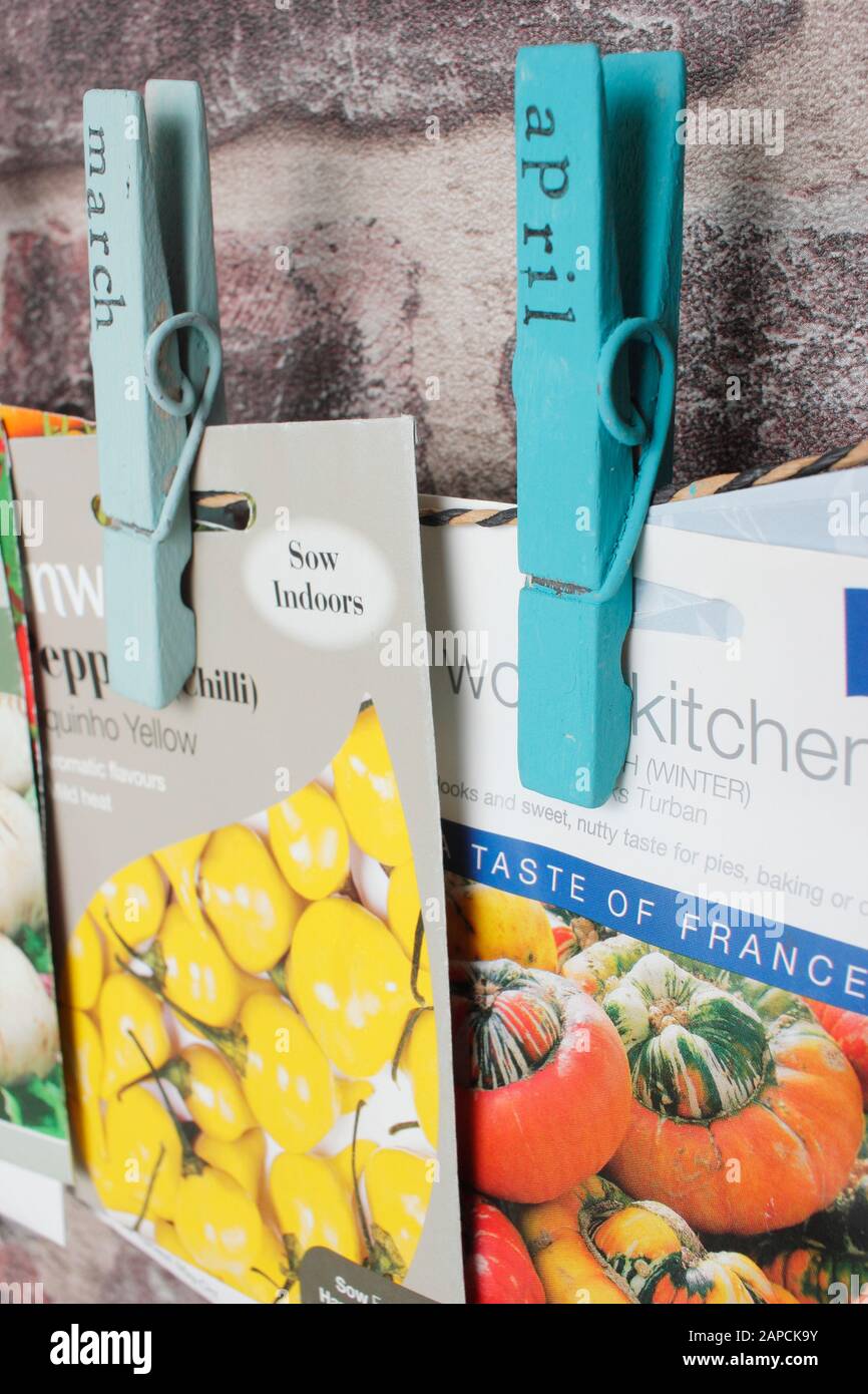 Organising seed packets for sowing using upcycled clothes peg for ...