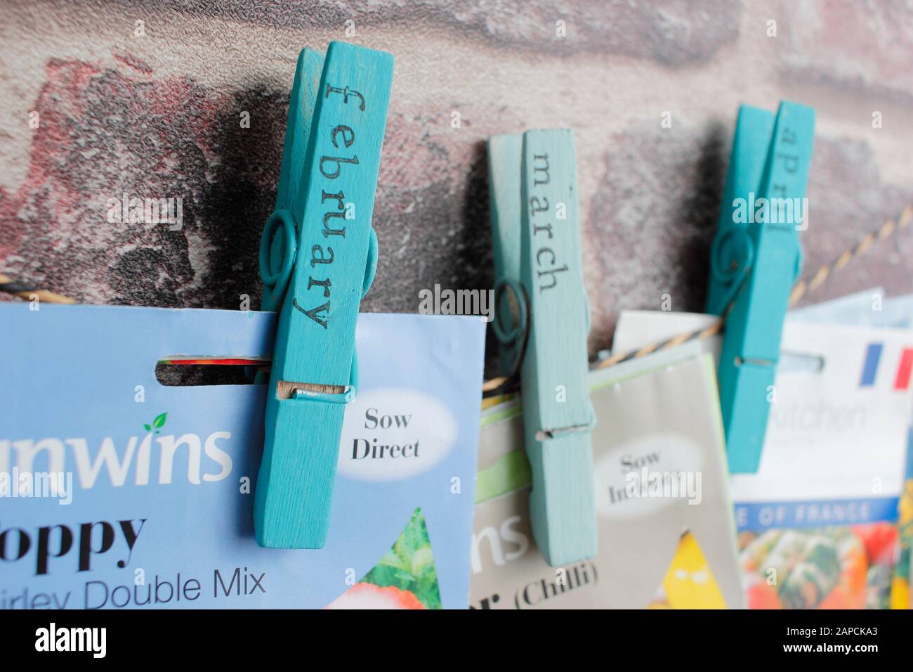 Organising seed packets for sowing using upcycled clothes peg for ...