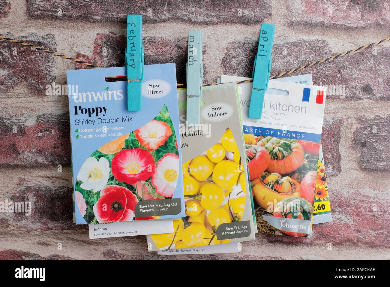 Organising seed packets for sowing using upcycled clothes peg for ...