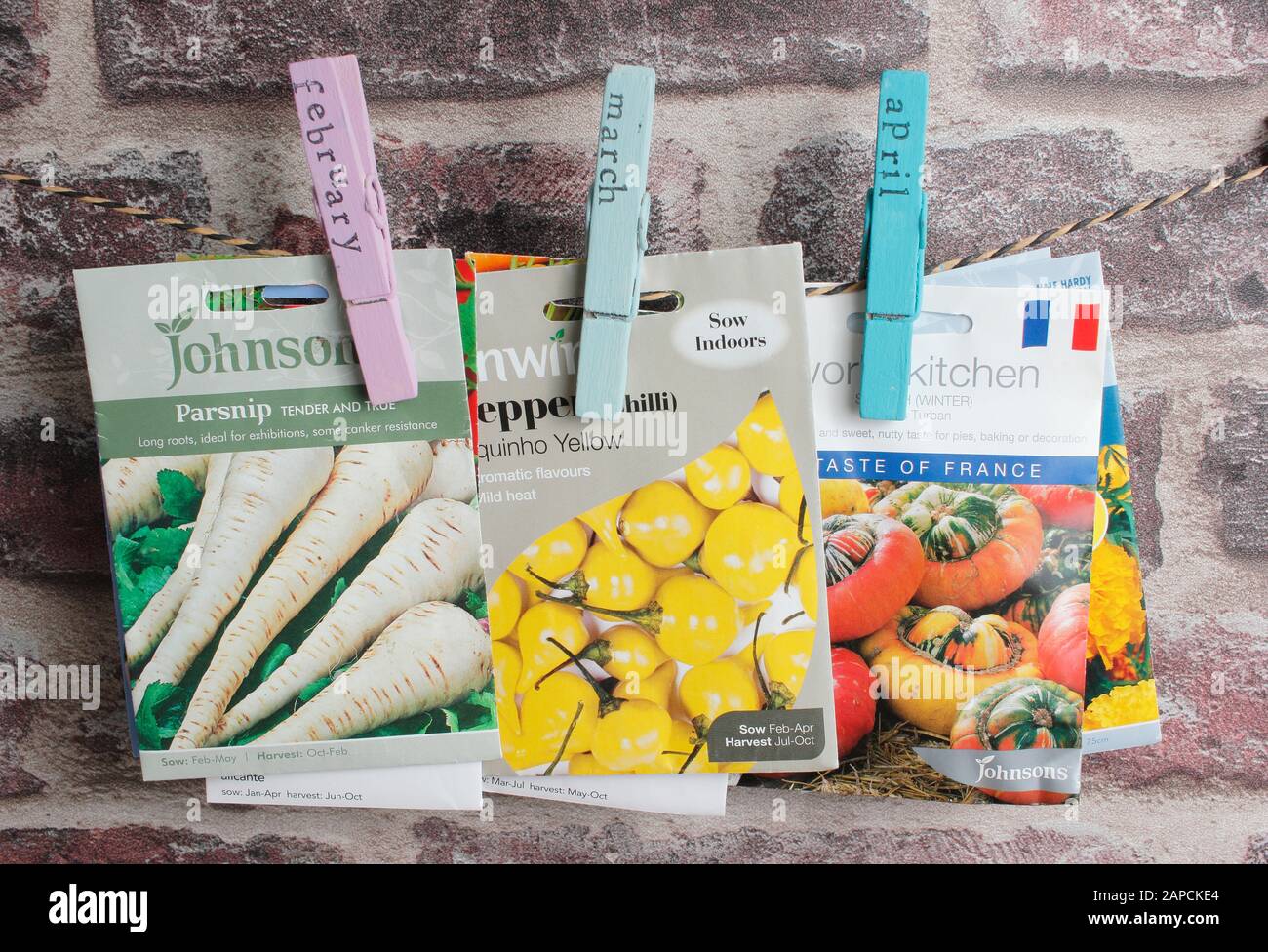 Seed packets organised by month of sowing using upcycled clothes peg ...