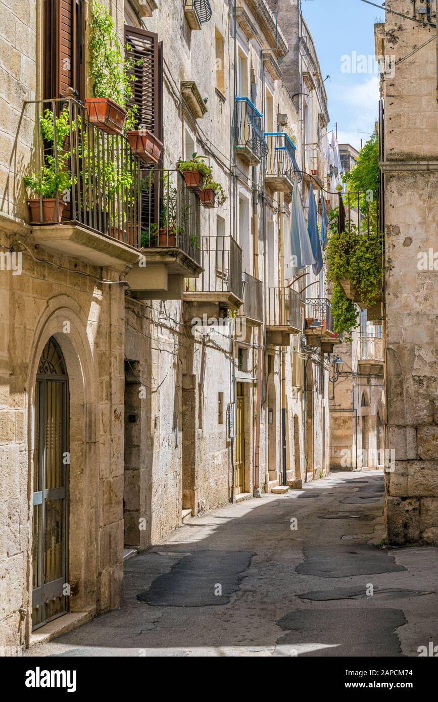 Scenic summer sight in Altamura, famous apulian town in the Province of ...