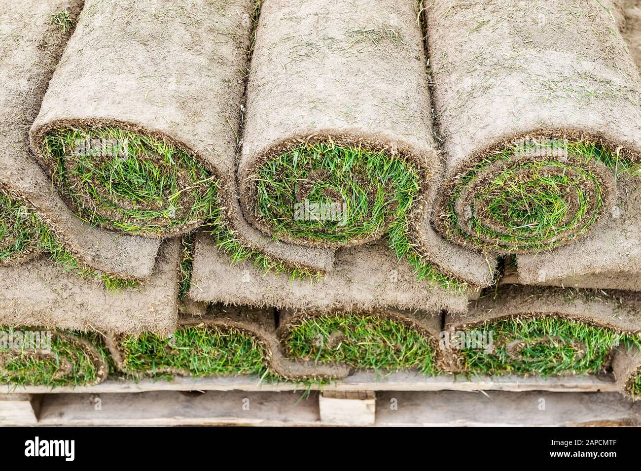 Close-up details stacks of green fresh rolled lawn grass on wooden ...