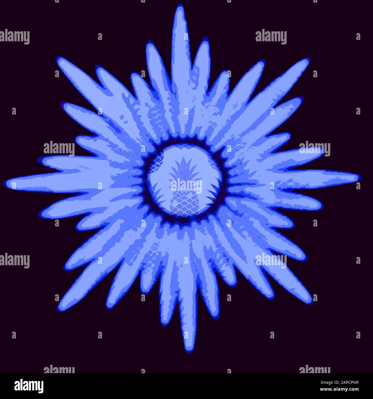 Pineapple star, blue Stock Photo - Alamy