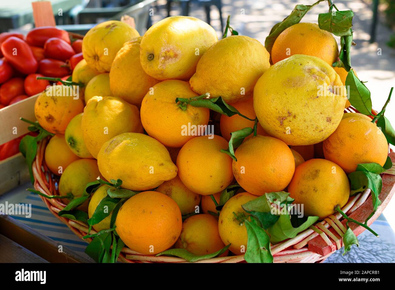 Lemon harvest hi-res stock photography and images - Alamy