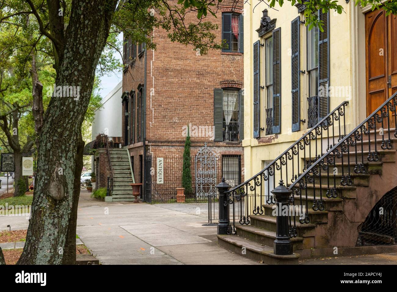 Scene savannah hi-res stock photography and images - Alamy