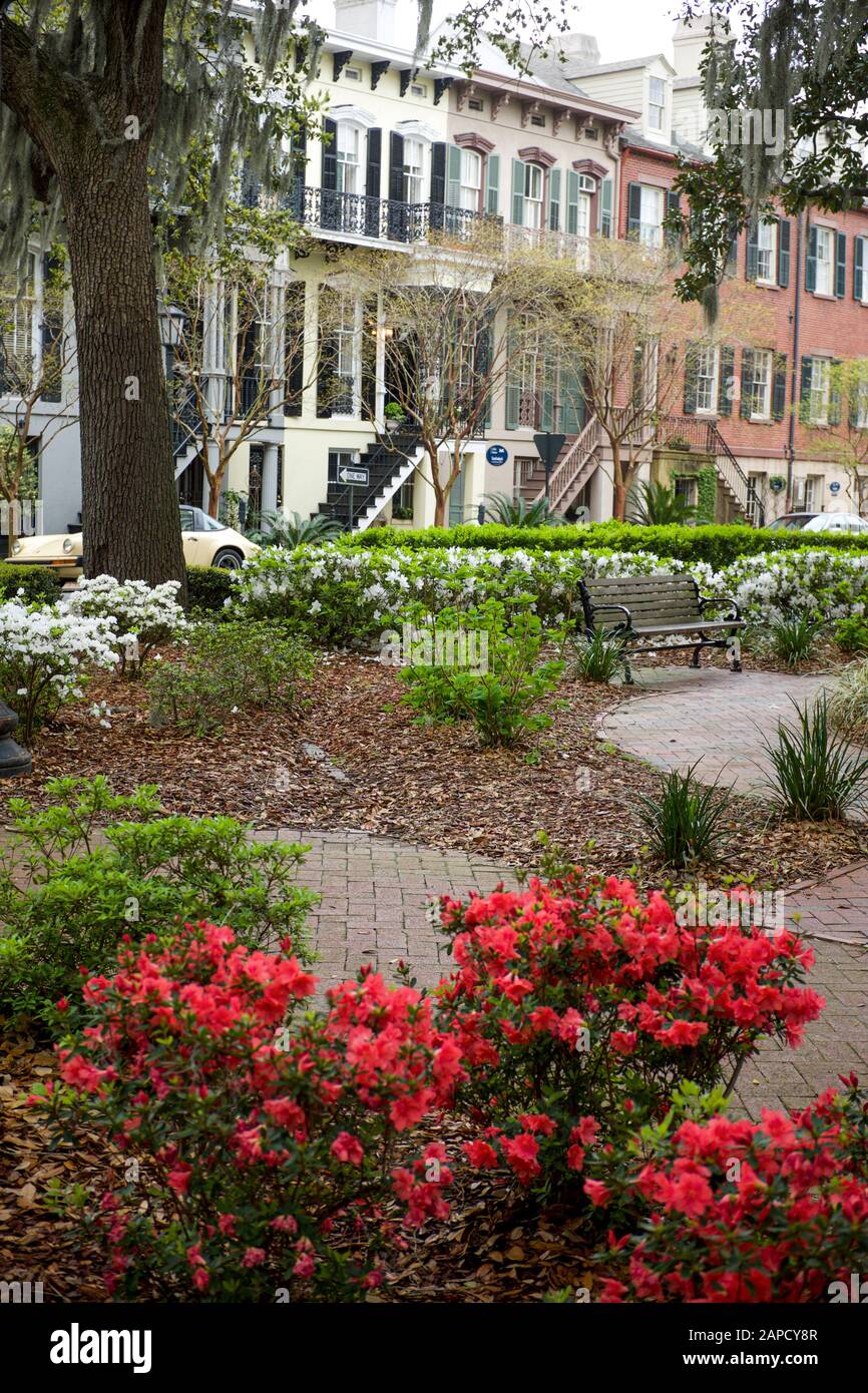 Street scene. Savannah, Georgia Stock Photo - Alamy