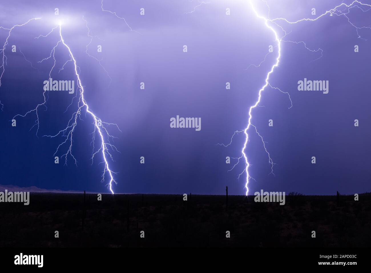Arizona desert lightning night hi-res stock photography and images - Alamy